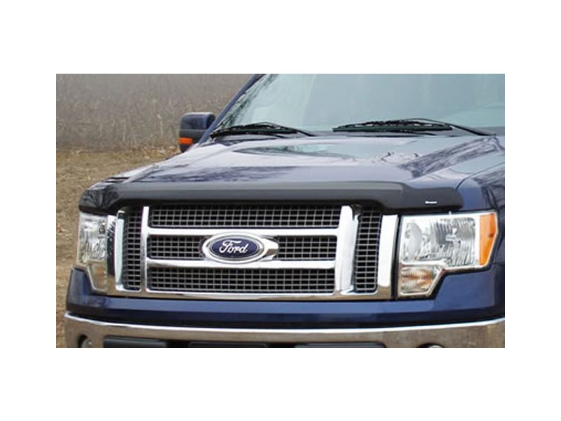 Stampede VP Bug Shield 2149-2 | RealTruck