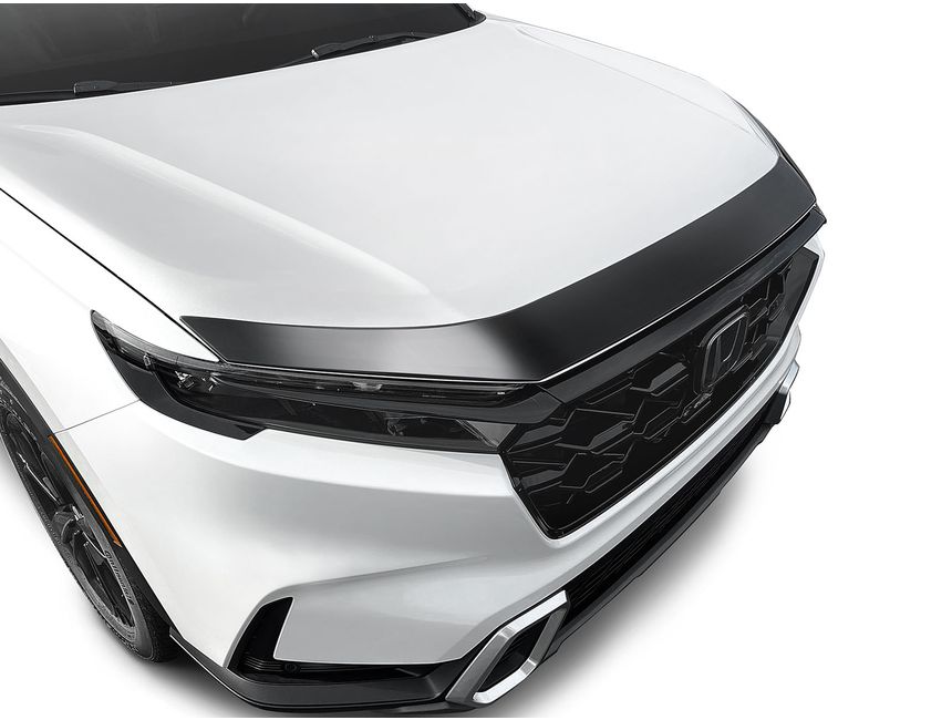 AVS® Aeroskin® Bug Shield 322242 | RealTruck