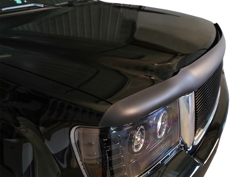 EGR Matte Black Superguard Bug Shield | RealTruck