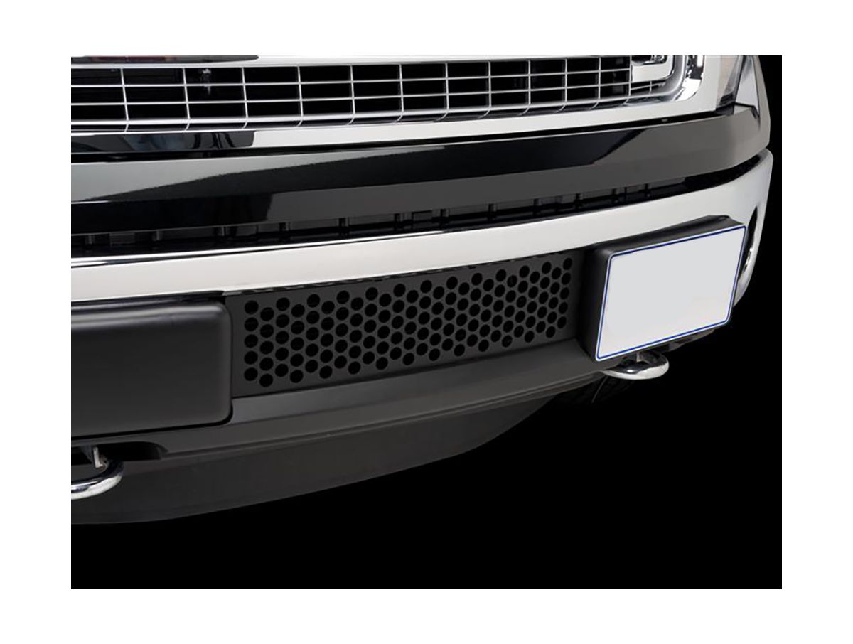 Putco Punch Bumper Grille Insert 88182 | RealTruck