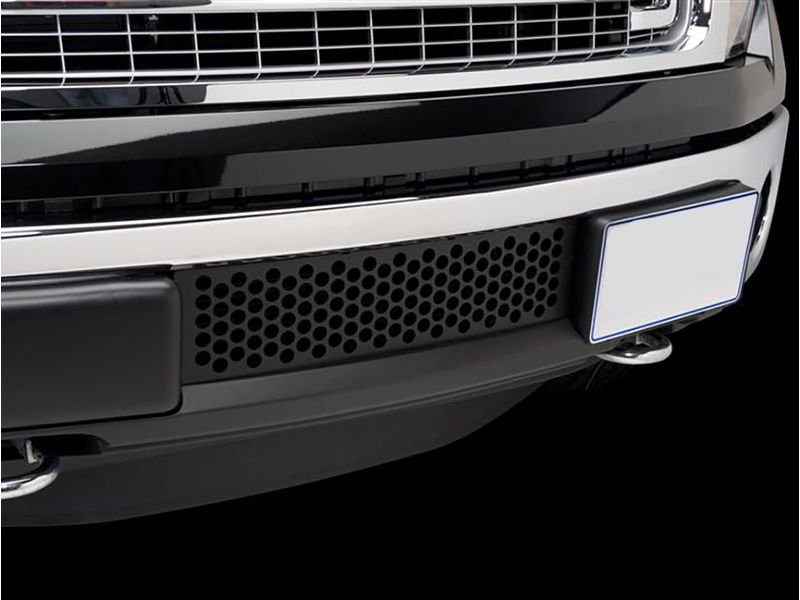 Putco Punch Bumper Grille Insert 88182 | RealTruck