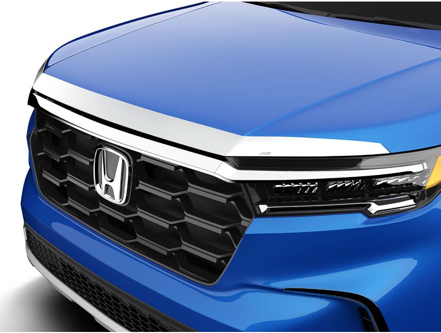 AVS AeroSkin® Chrome Bug Shield 622230 | RealTruck