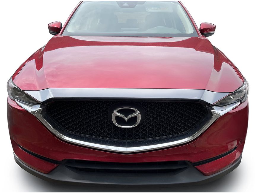 AVS AeroSkin® Chrome Bug Shield 622179 | RealTruck