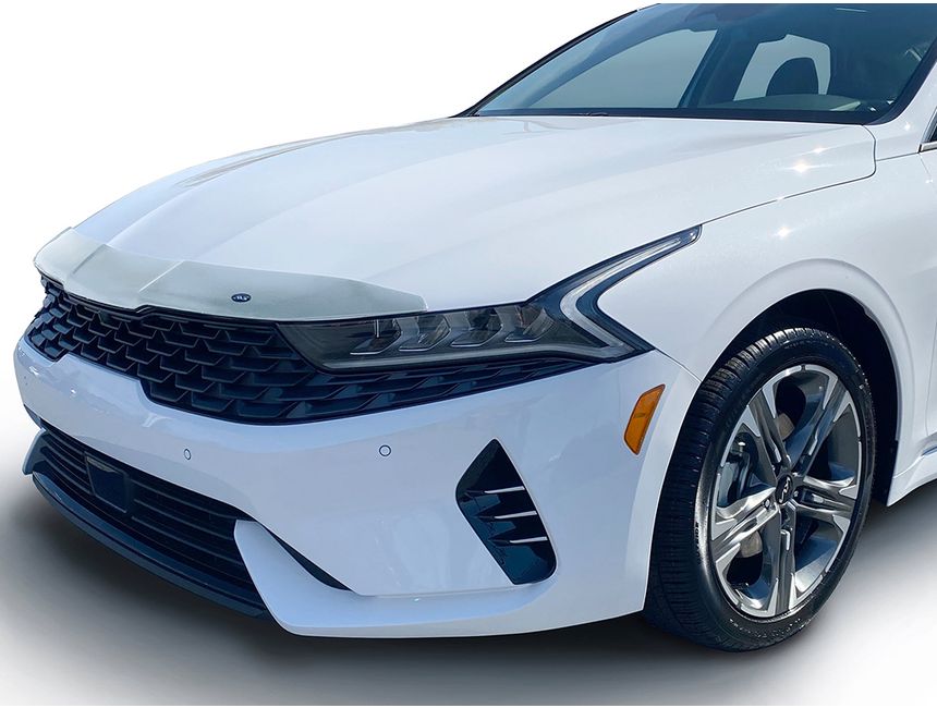 AVS AeroSkin® Chrome Bug Shield 622199 | RealTruck