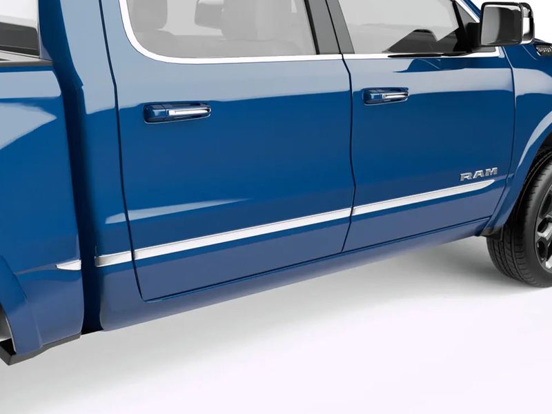 EGR Chrome Rugged Look Body Side Molding 952954 | RealTruck