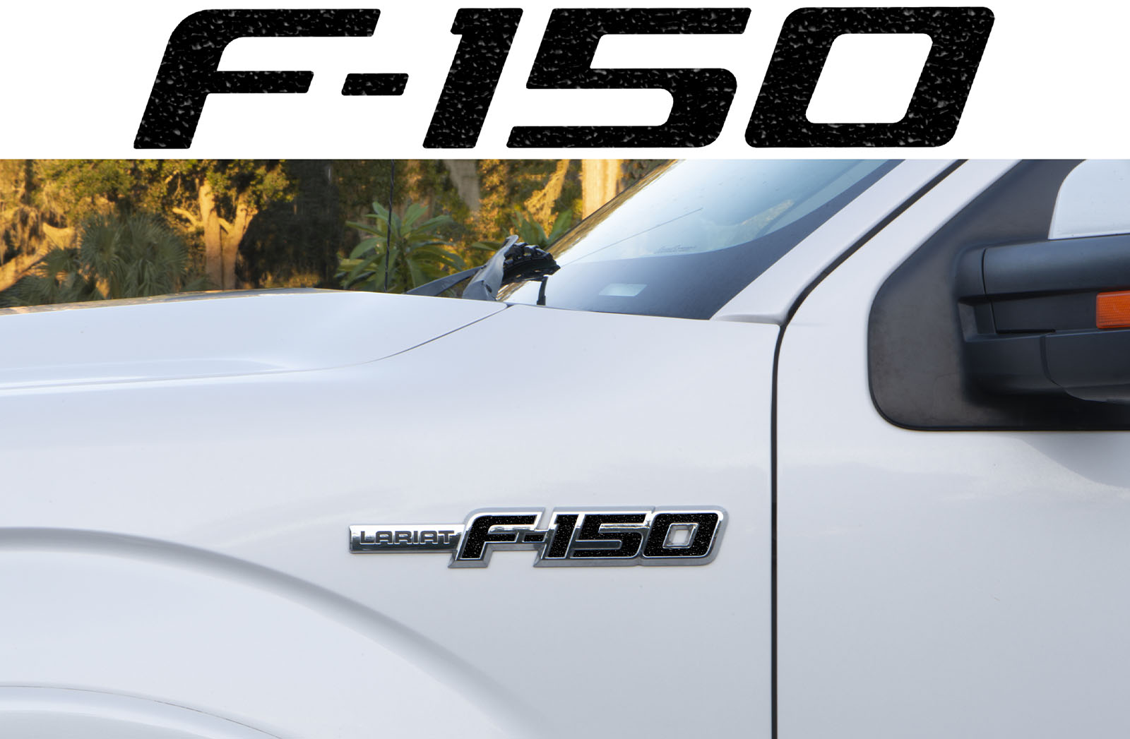 Tufskinz Ford Side Lettering Emblems FRD023-TFL-X | RealTruck