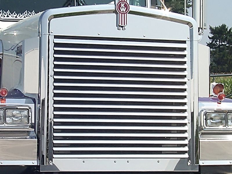 RoadWorks Replacement Grille Insert 45202 | RealTruck