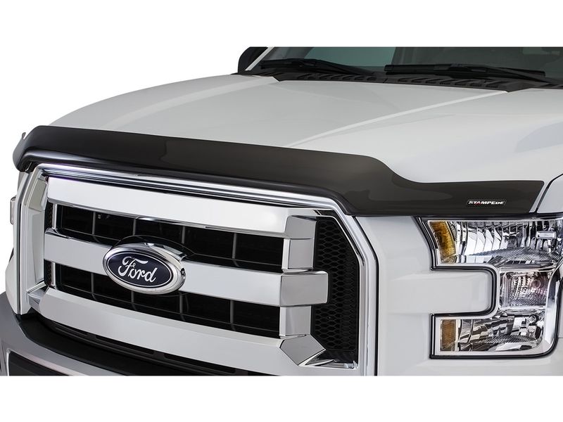 Stampede VP Bug Shield 2023-2 | RealTruck