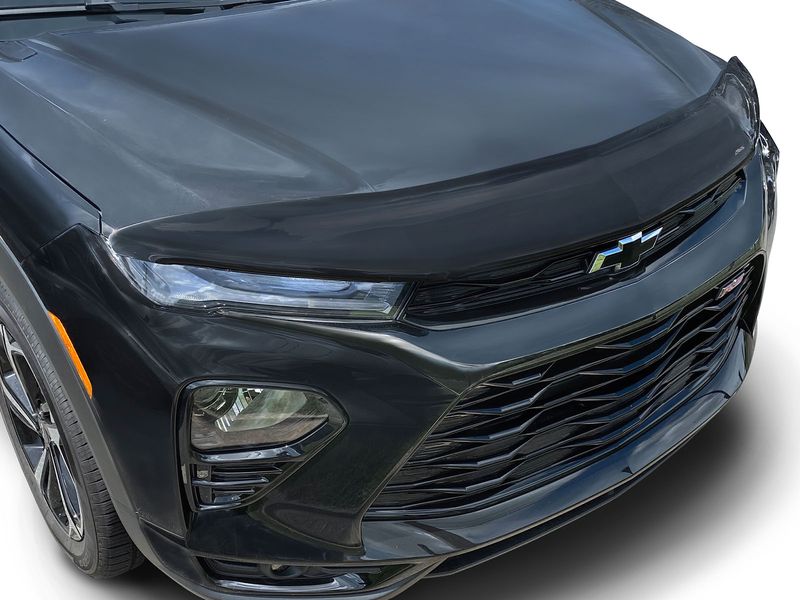 AVS Carflector Bug Shield 20183 | RealTruck