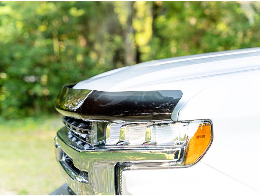 EGR Superguard Bug Shield 301691 | RealTruck