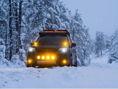 Rigid Lights In The Snow 10+ Thousand Northern Lights Snow Scene