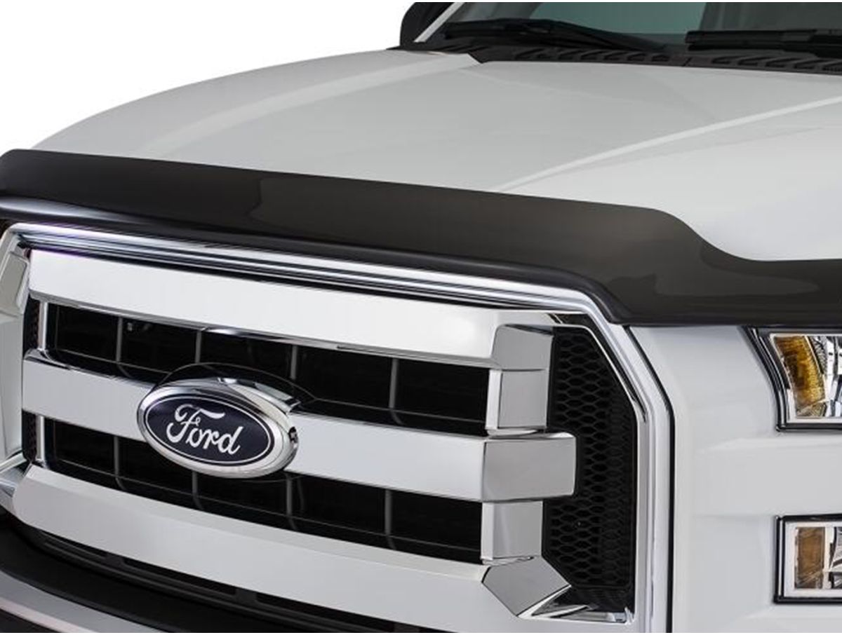 Stampede VP Bug Shield 3129-2 | RealTruck