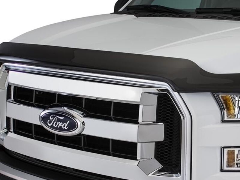Stampede VP Bug Shield 3129-2 | RealTruck