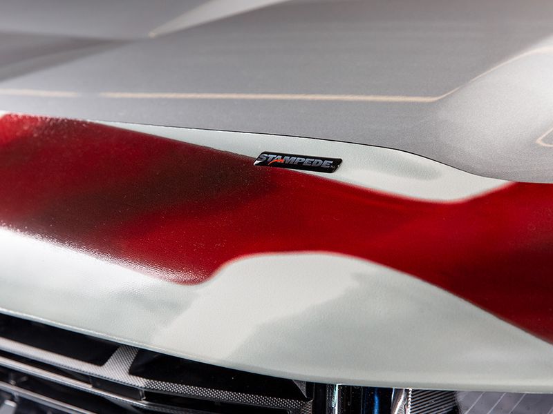 Stampede US Flag Bug Shield | RealTruck
