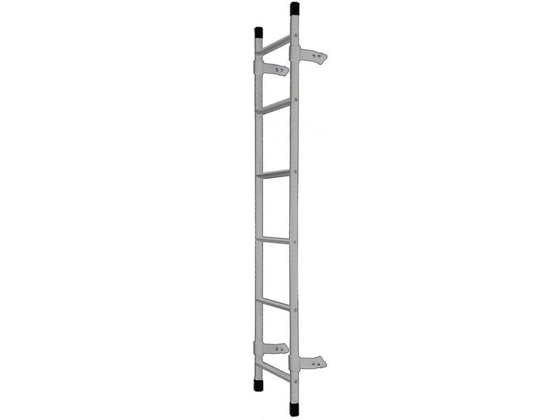 Vantech Rear Access Ladder L001S | RealTruck